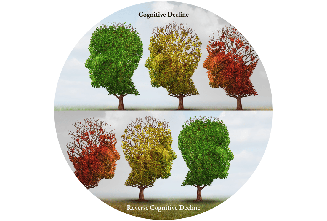 ReCODE and PreCODE Programs | Potomac Psychiatry