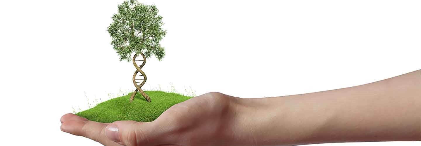 DNA... Nurture Your Nature - Session One - drbrucekehr.com