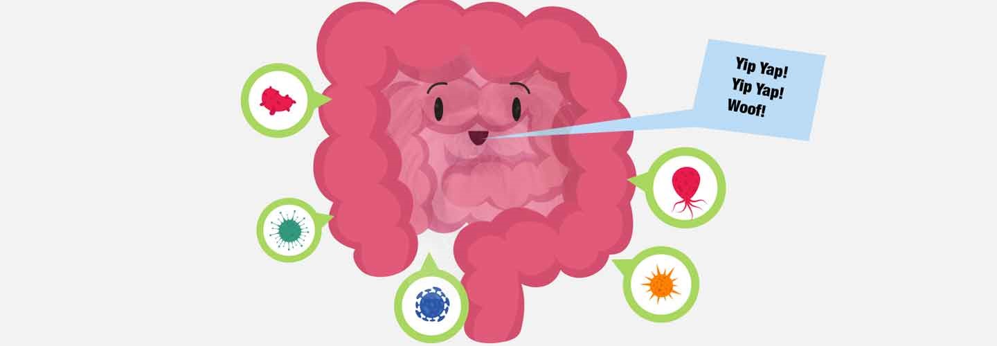 The Care of Your Microbial “Pet” to Treat Anxiety, Depression, and Bipolar