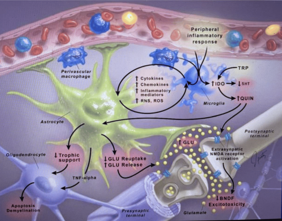 Long COVID: The Brain Fog Pandemic